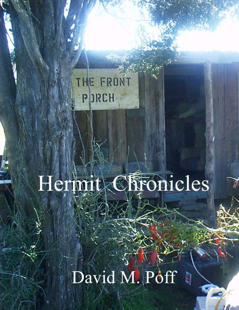 A Blind Old Guy Walks Into A Bar… - David M. Poff